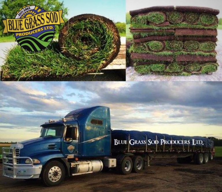 Order And Buy Sod | Blue Grass Sod Producer